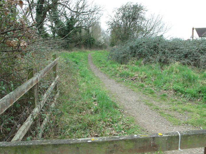 Blackwater Rail Trail