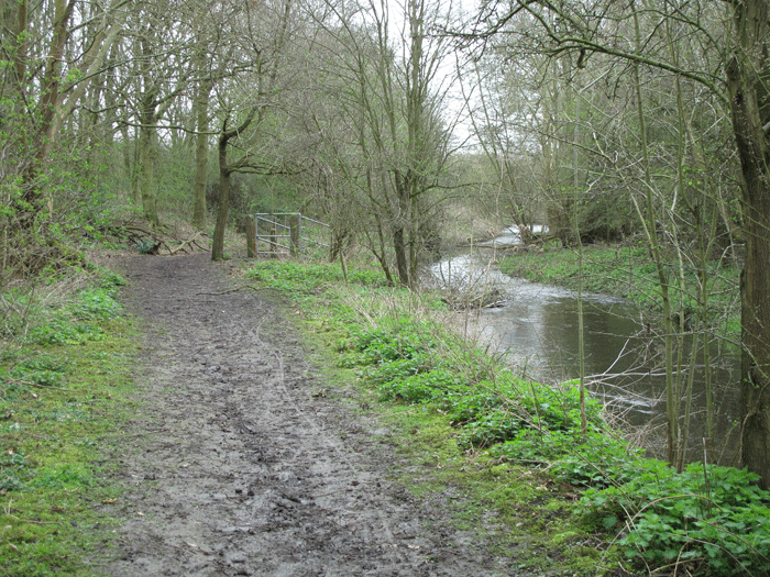 Blackwater Rail Trail