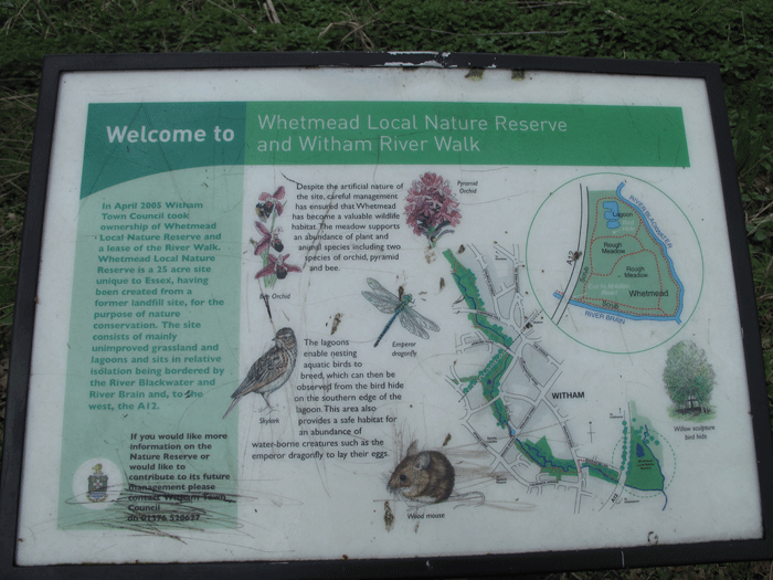 Blackwater Rail Trail