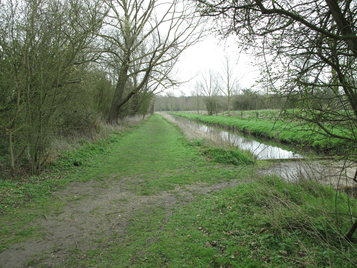 Blackwater Rail Trail