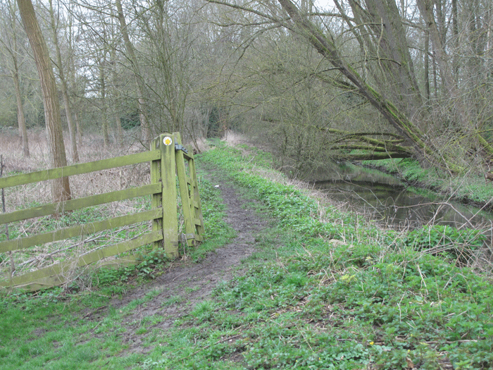 Blackwater Rail Trail