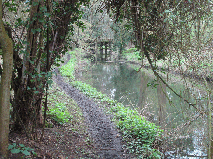 Blackwater Rail Trail