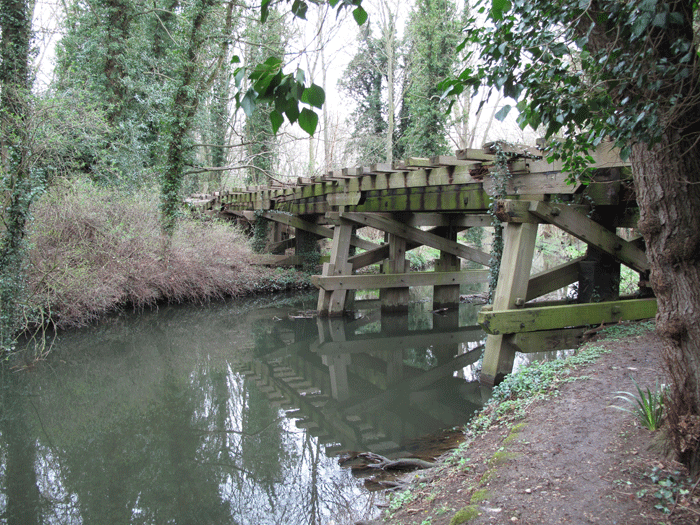 Blackwater Rail Trail