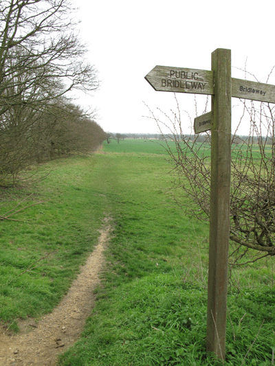 Blackwater Rail Trail
