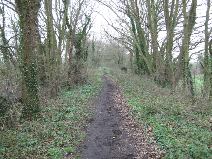 Blackwater Rail Trail