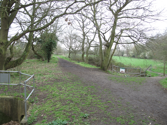 Blackwater Rail Trail