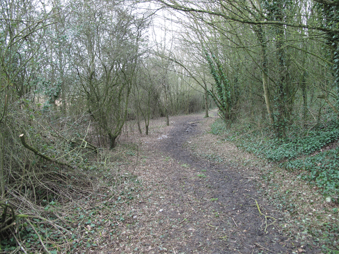 Blackwater Rail Trail